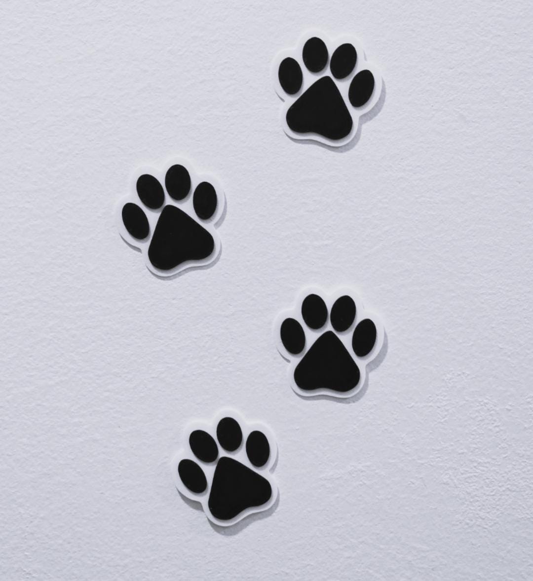 Rustic Dog Paw Print Wall Hanging - Pet Parent Gift Pack of 4 - Etsy