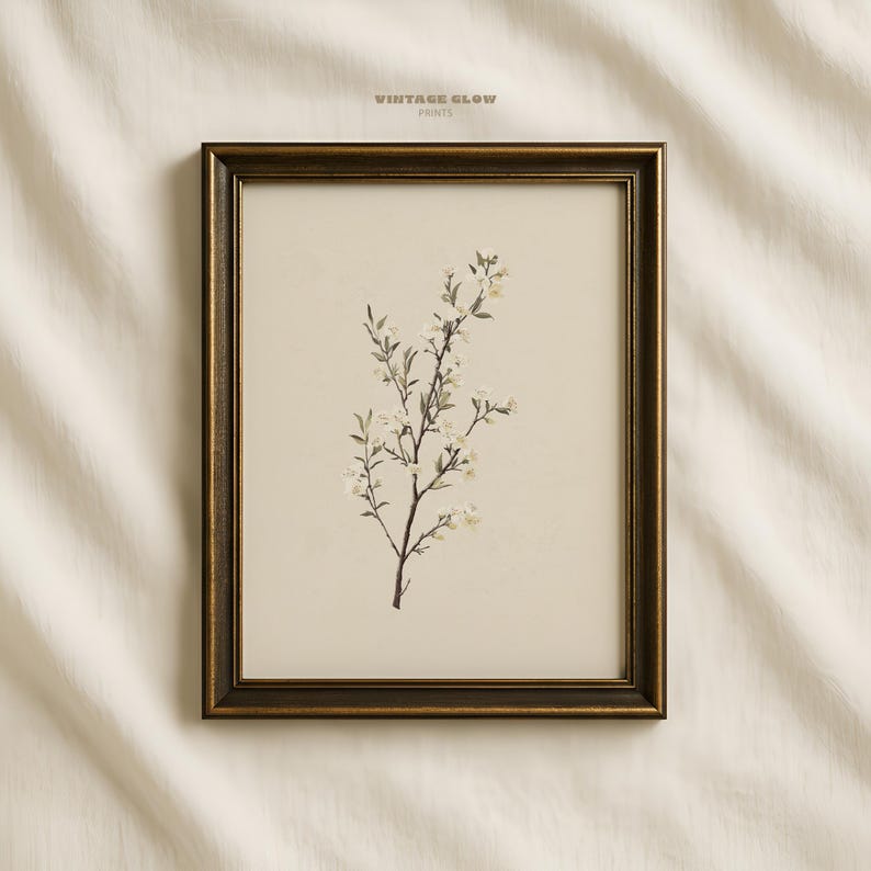 Antique Manuka Plant Print | Vintage Botanical Art (digital Download ...