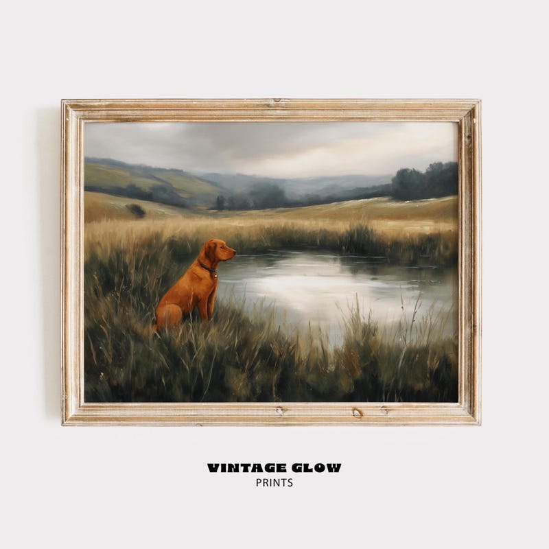 Vintage Red Fox Lab - Etsy UK