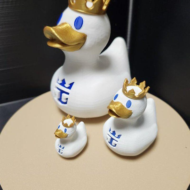3d Ducks Cruise - Etsy