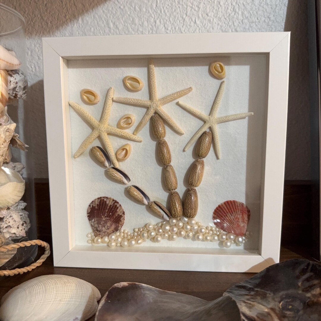 Framed Seashell Beach Art | Coastal Decor | Floating Shelf Decor ...