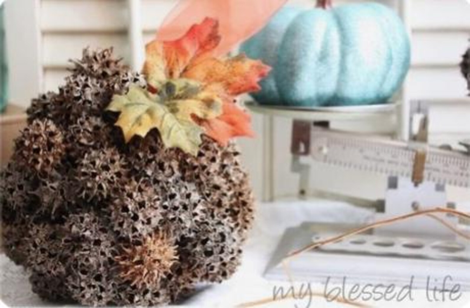 Sweet Gum Tree Pods- Crafts- Wreaths- Candle Centerpiece- Christmas ...
