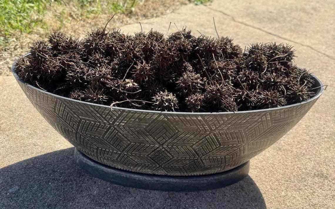 Sweet Gum Tree Pods- Crafts- Wreaths- Candle Centerpiece- Christmas ...