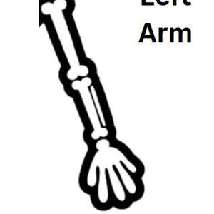 Fun Educational Skeleton Print, Color, Cut, Pose & Paste - Etsy