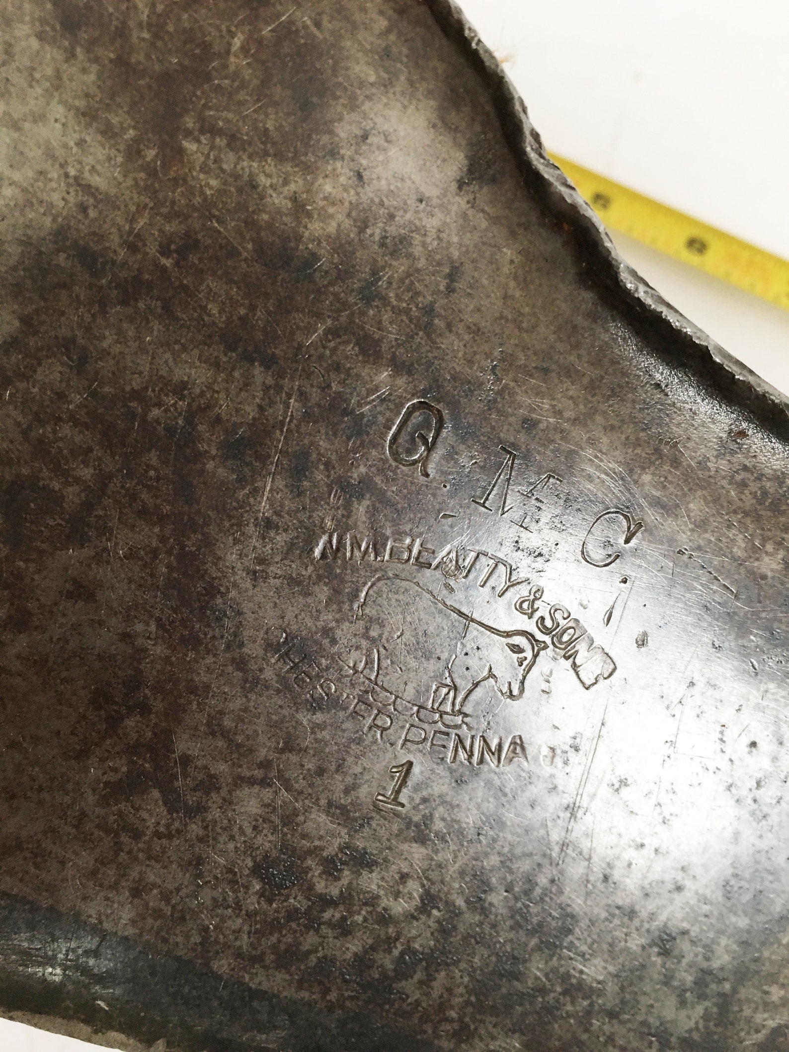 Vintage Antique WM BEATTY & Sons Chester Pennsylvania Cow Steer Stamped ...