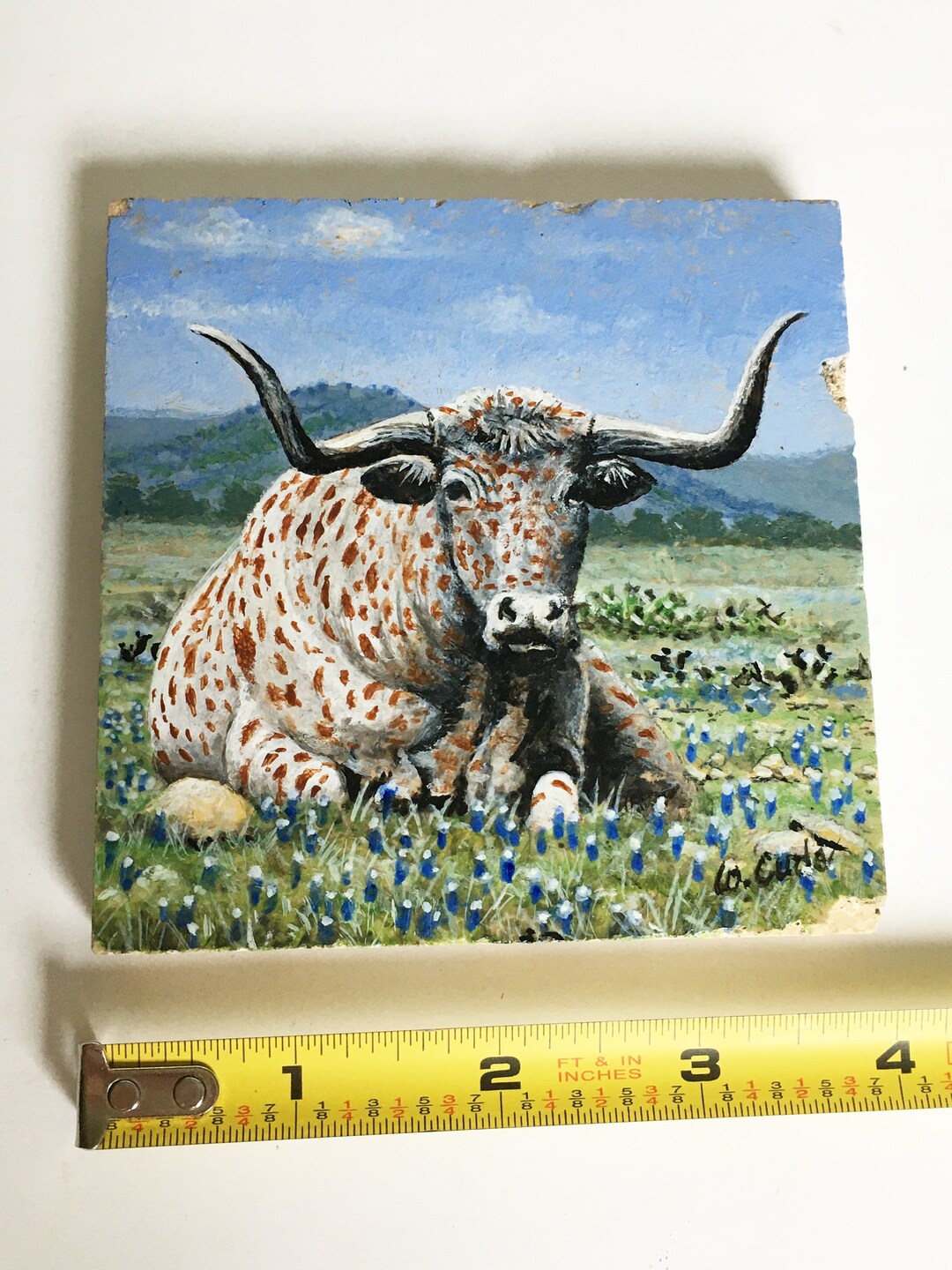 Vtg Walt Cude of Fort Worth Texas Parks & Wildlife Magazine Illustrator ...