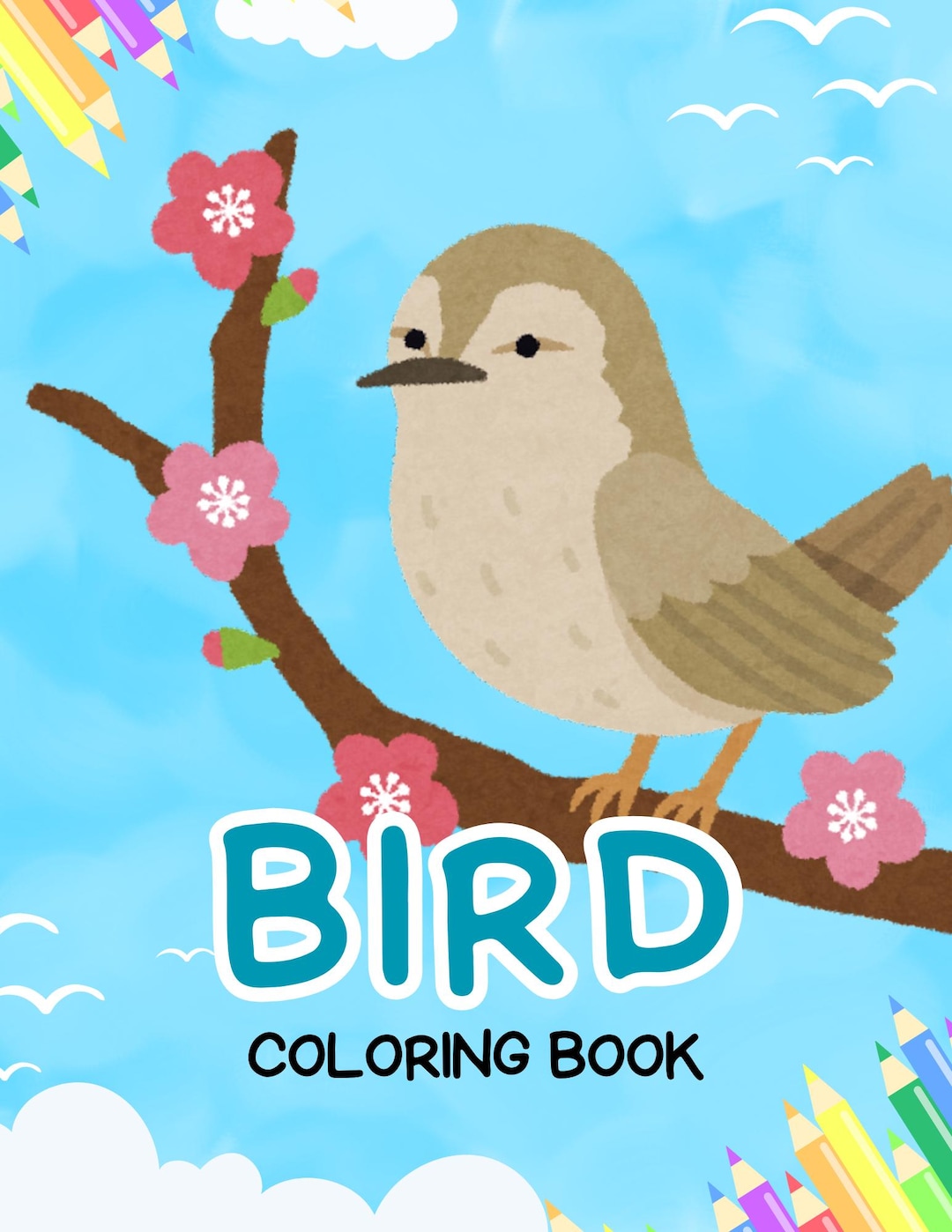 Bird Coloring Book - Etsy