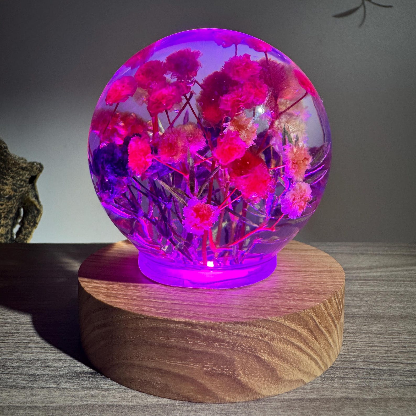 Flower Resin Globe Lamp – LED Night Light With Real Dried Flowers on ...