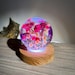 Flower Resin Globe Lamp – LED Night Light With Real Dried Flowers on ...