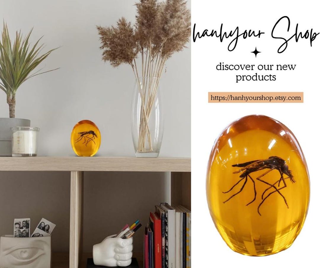 Jurassic Mosquito Fossil Replica – 2D-C Amber Encased Insect, Ideal ...