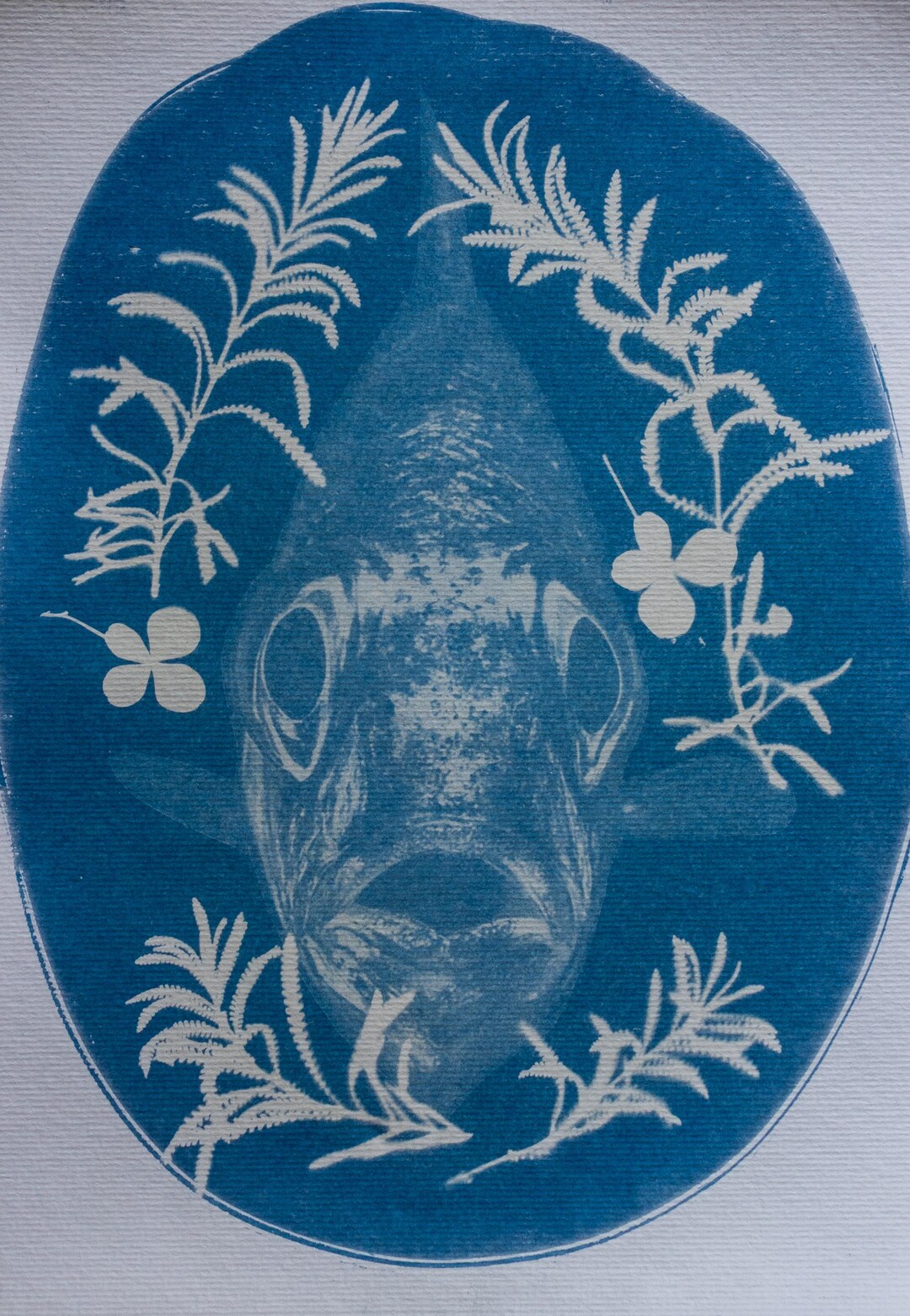 The Fish of Wonder – Original Cyanotype on Watercolor Paper (A4) - Etsy