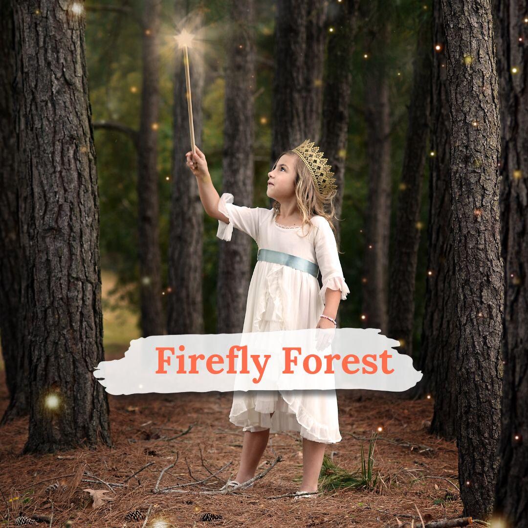 Magical Firefly Forest Digital Background, Glowing Forest Scene JPG ...