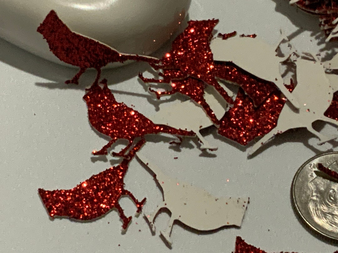 Cardinal Red Glitter Card Stock Confetti 100 Pieces of Red Glitter ...