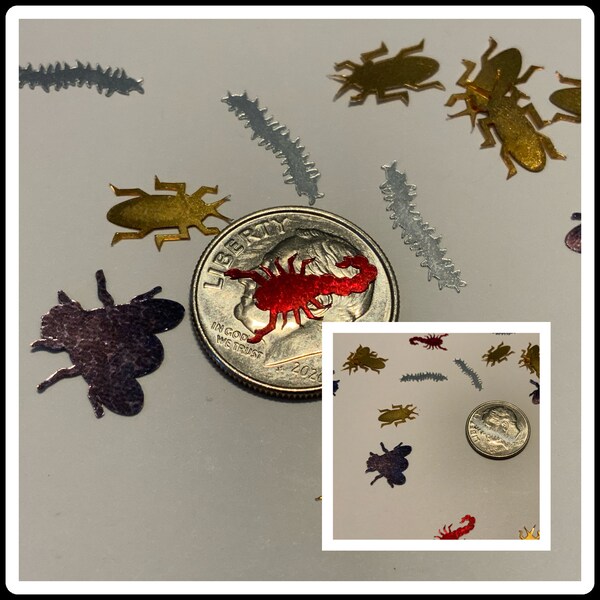 Insect Confetti - Etsy