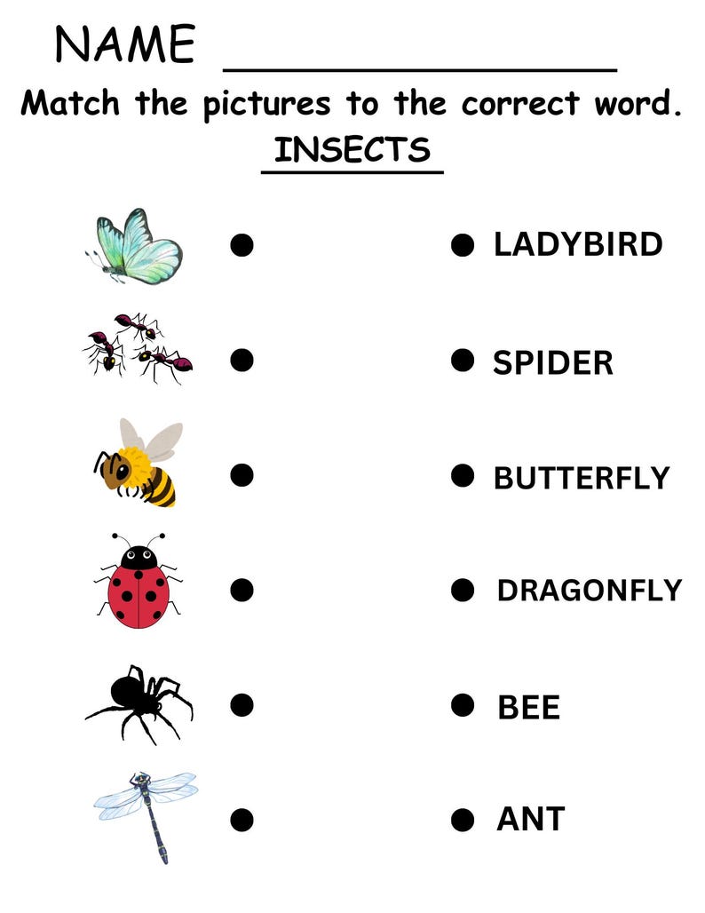 Match the Picture Worksheets | 10 Printable Matching Activities for ...