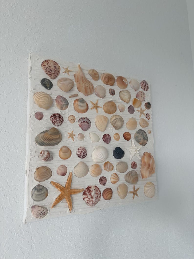 Florida Shell Art - Etsy