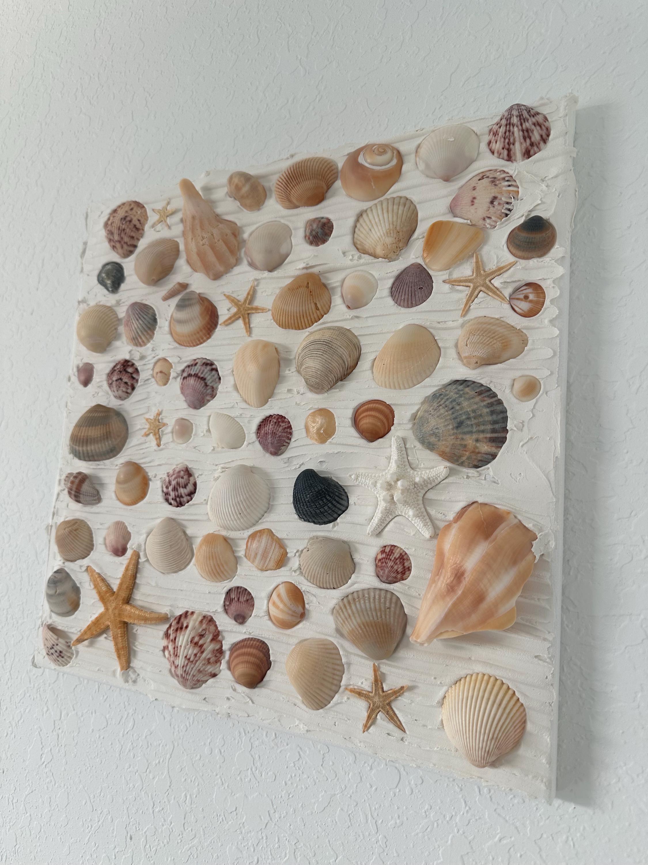 Florida Shell Art - Etsy