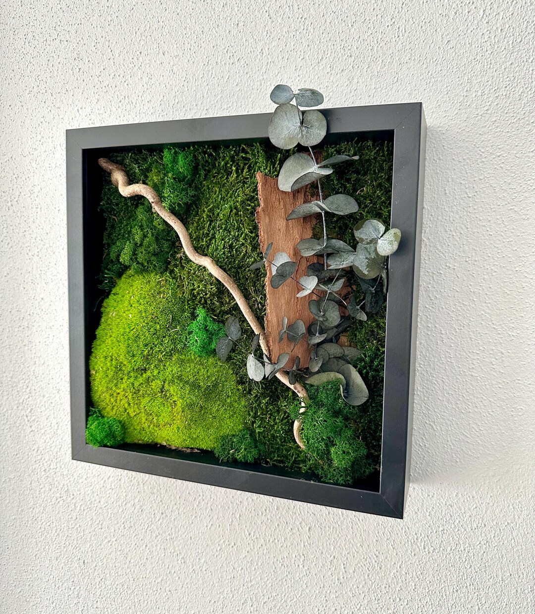 Moss Picture Square With Preserved Ball Moss Eucalyptus Mural Wall ...