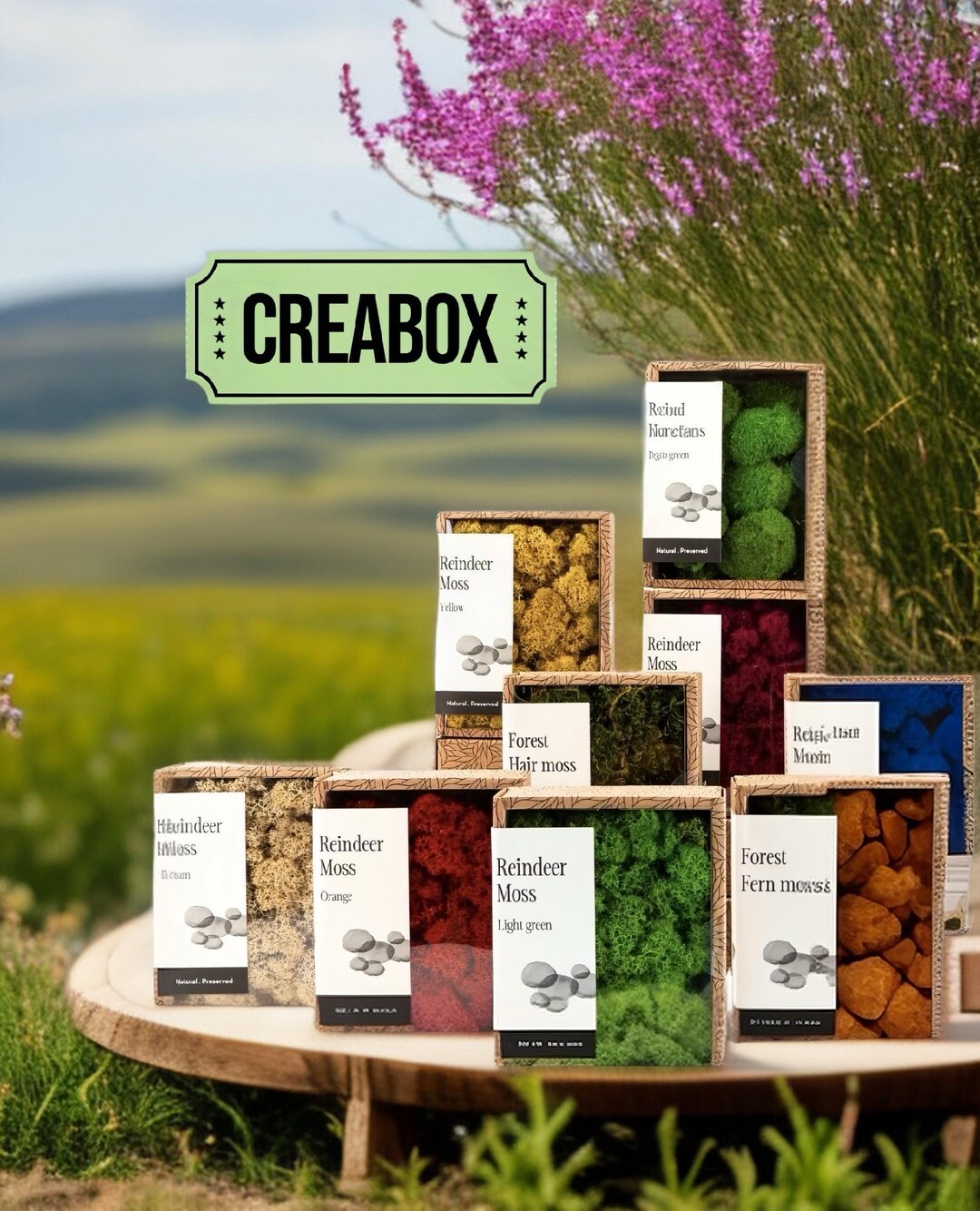 Creabox Preserved Moss Icelandic Moss Ball Moss for Crafting and ...