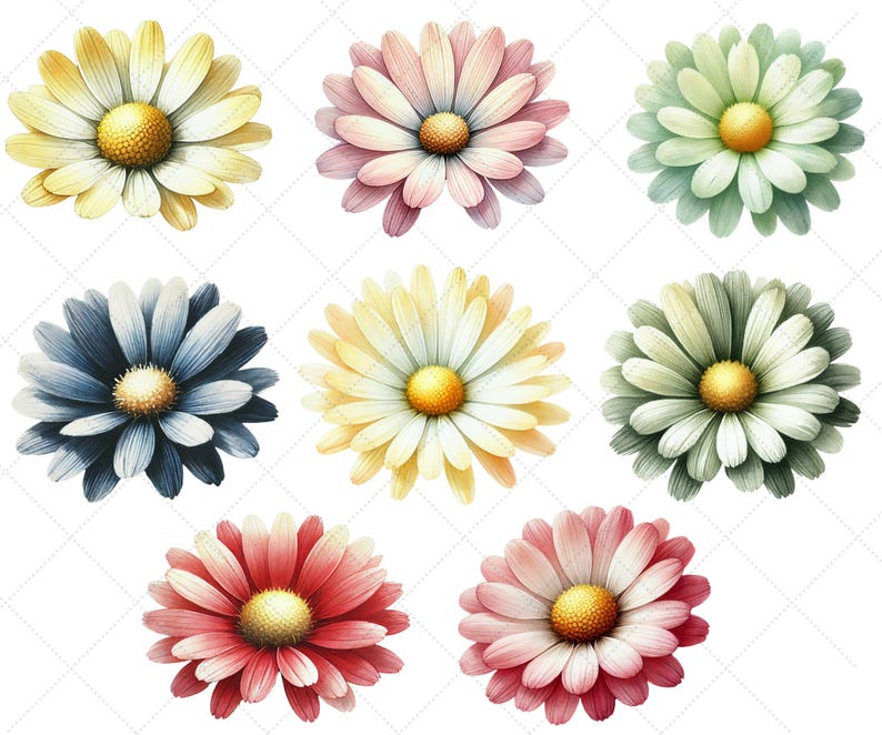 Daisy Flower Clipart ,beautiful Flower Daisies Clipart , Wedding ...