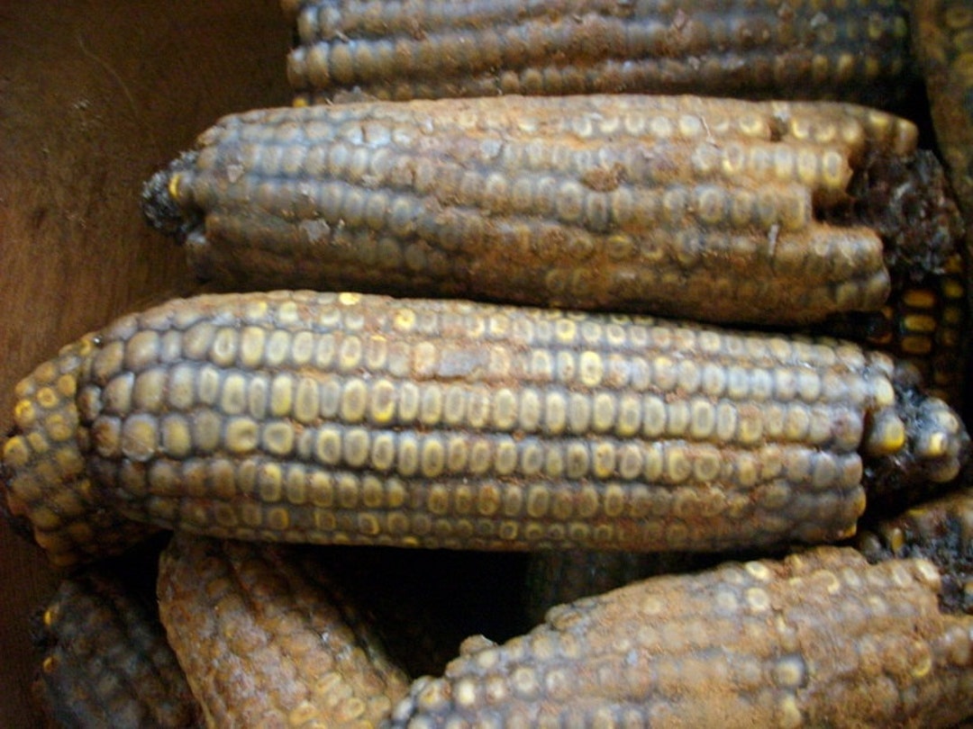 3 Primitive Fall Blackened Wax Corn Bowl Fillers - Etsy