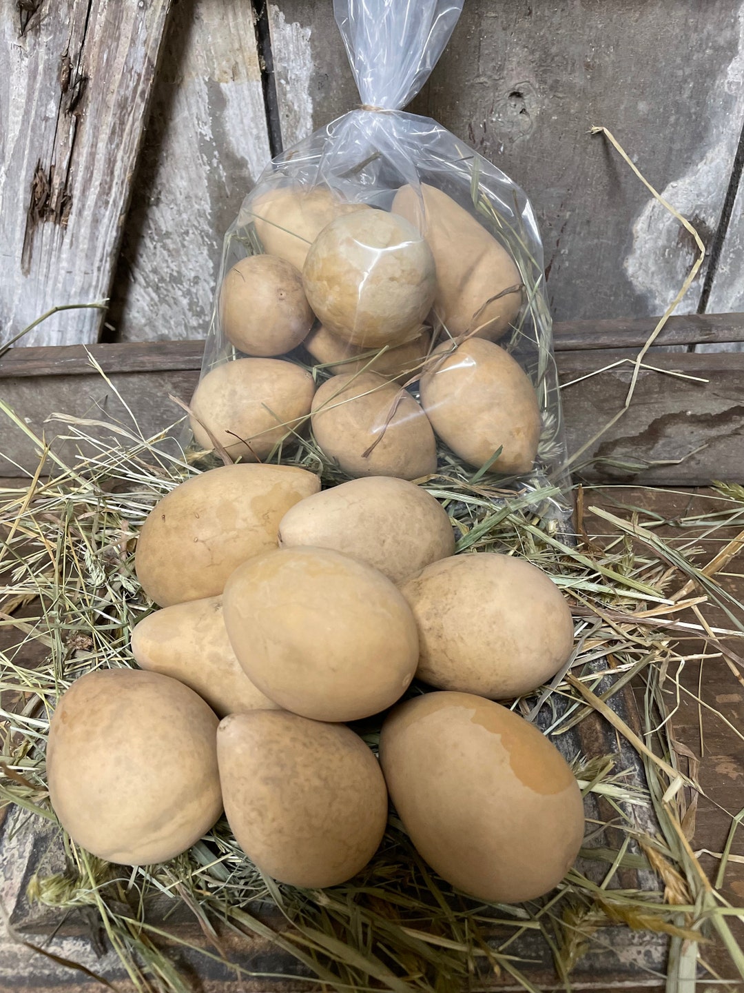 Small Primitive Dried Egg Gourds Set of 3,6,10 - Etsy