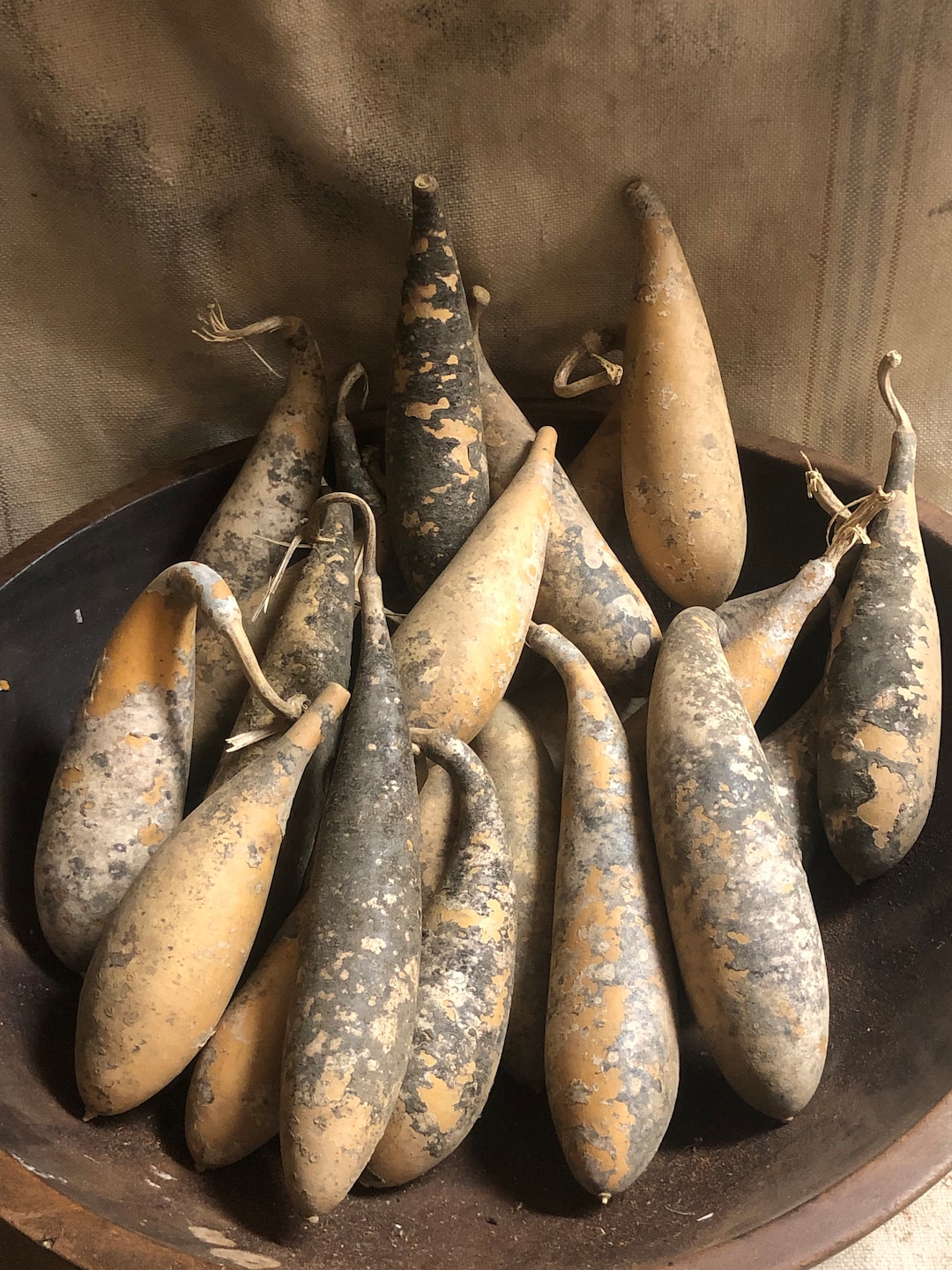 Small Primitive Dried Banana Gourds Set of 3,6,10,20 - Etsy