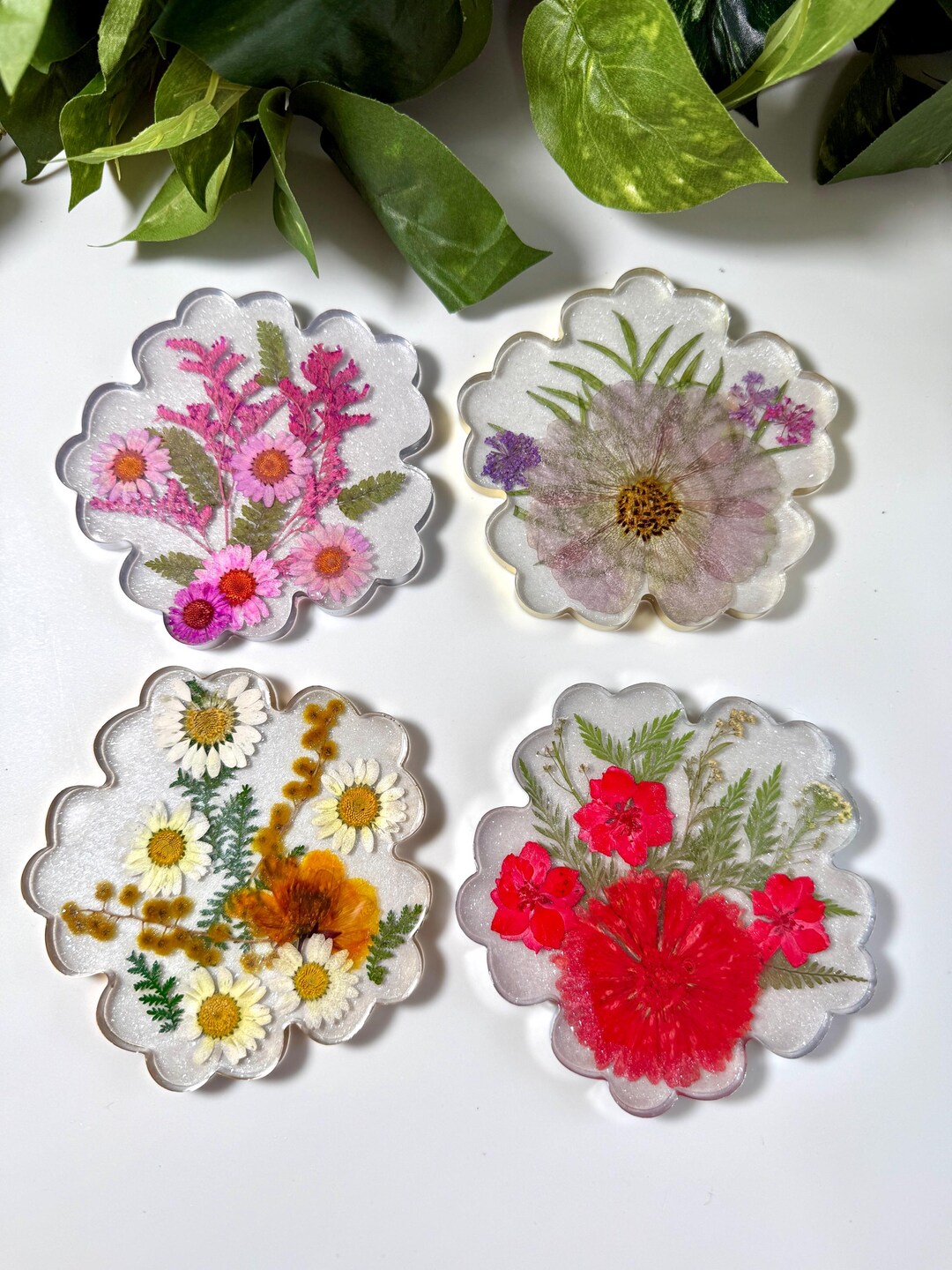 Pressed Flower Resin Coaster: Real Dried Floral Scalloped Decor - Etsy