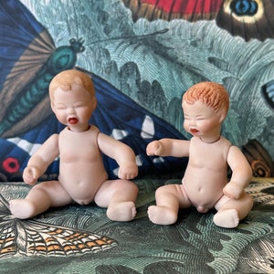 anatomically correct dolls for teaching
