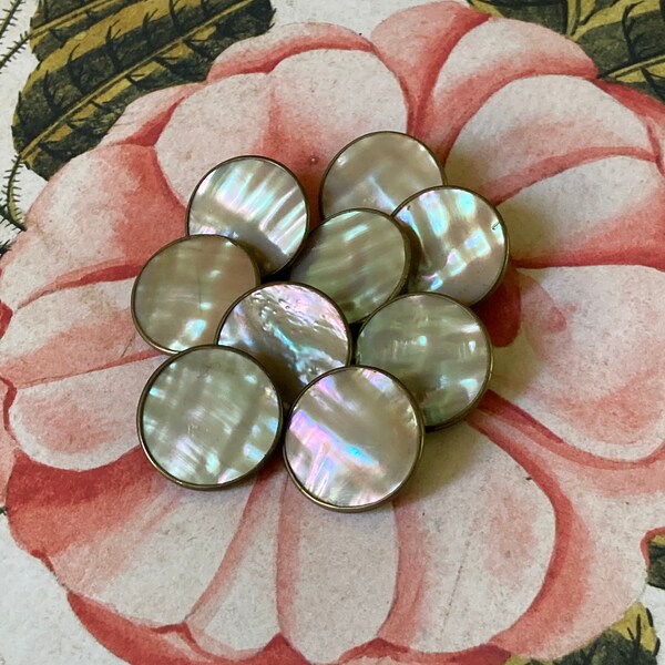 Abalone Buttons - Etsy