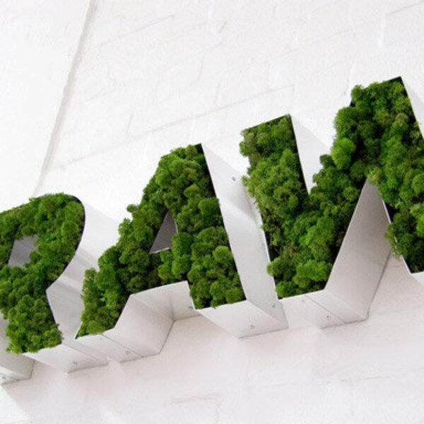 Moss Letters - Etsy
