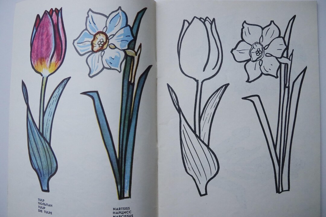 Estonian Children Colouring Book Garden - Picture Book With Plant Names ...