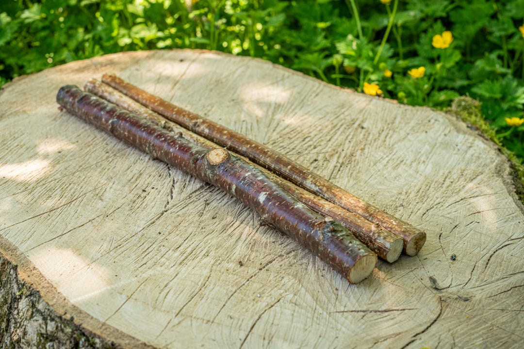 3 Dried Hazel Sticks That Can Be Used for Natural Crafts, Wand Making ...