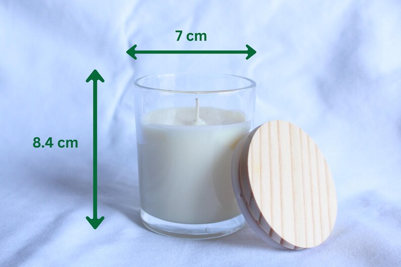 Madagascar Vanilla Candle | Vanilla Coconut Tonka Coconut Wax Candle ...