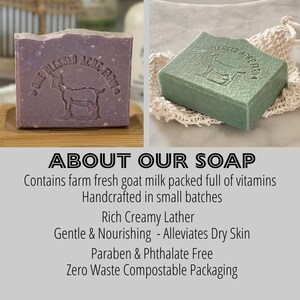 Pumice Soap Goat Milk Bar Soap Pumice Facial Bar Goat Milk Gardeners ...