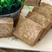 Pumice Soap Goat Milk Bar Soap Pumice Facial Bar Goat Milk Gardeners ...