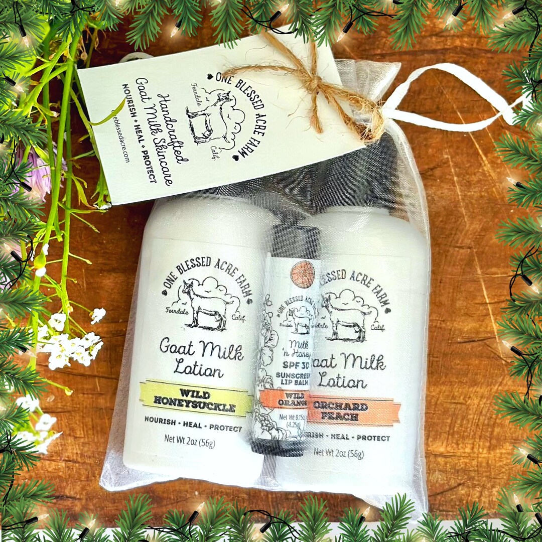 Holiday Lotion Gift Set Under 15 Skincare Gift for Her Bath and Body ...