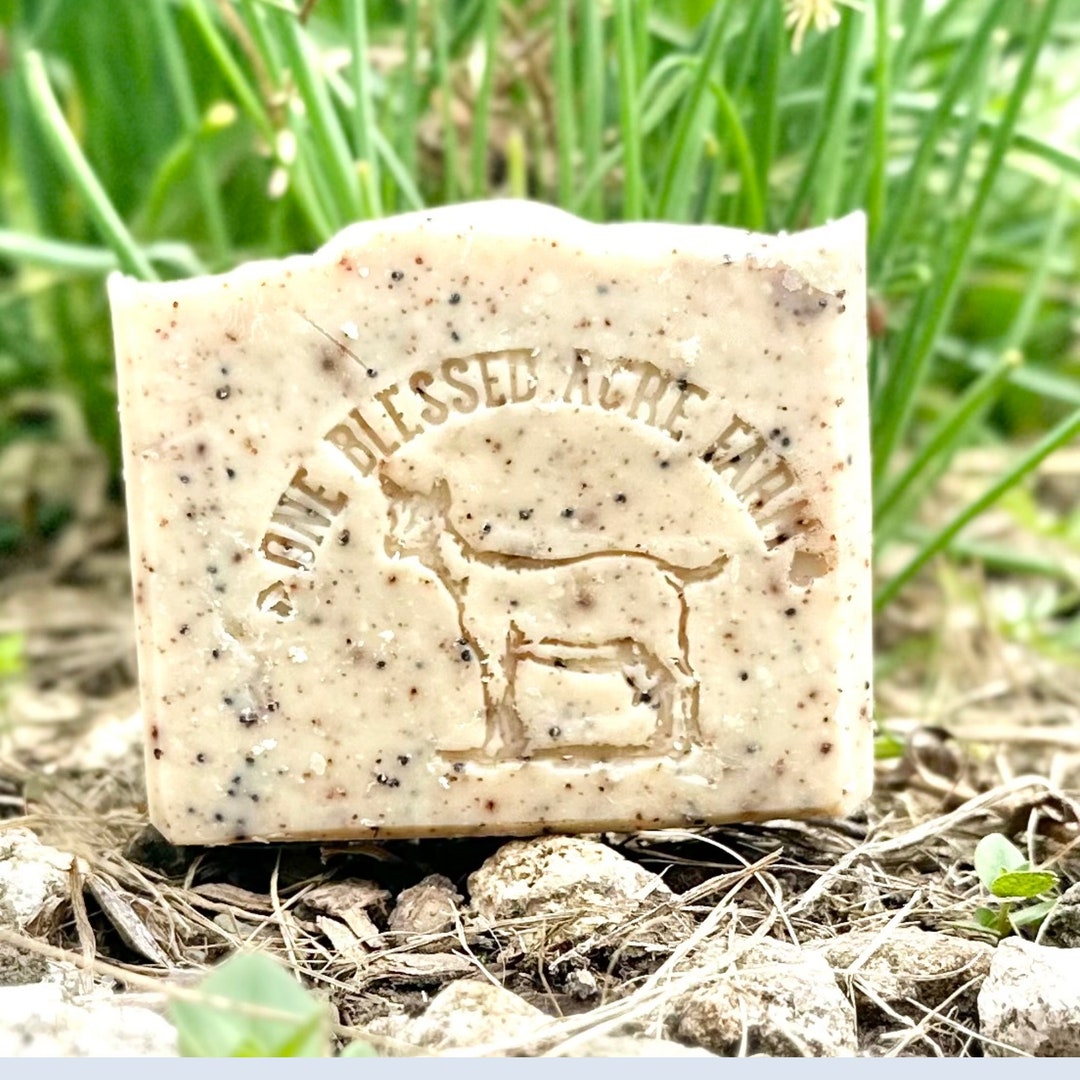 Pumice Soap Goat Milk Bar Soap Pumice Facial Bar Goat Milk Gardeners ...