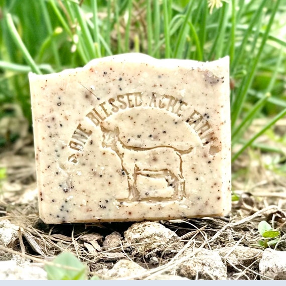 Pumice Soap Goat Milk Bar Soap Pumice Facial Bar Goat Milk Gardeners Soap Exfoliating Goat Milk Soap Rosemary Soap Bulk Set Gardener Gift Etsy