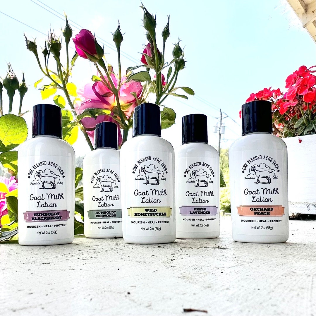 Bulk Goat Milk Lotion Hand Lotion Goat Milk Hand Cream Travel - Etsy