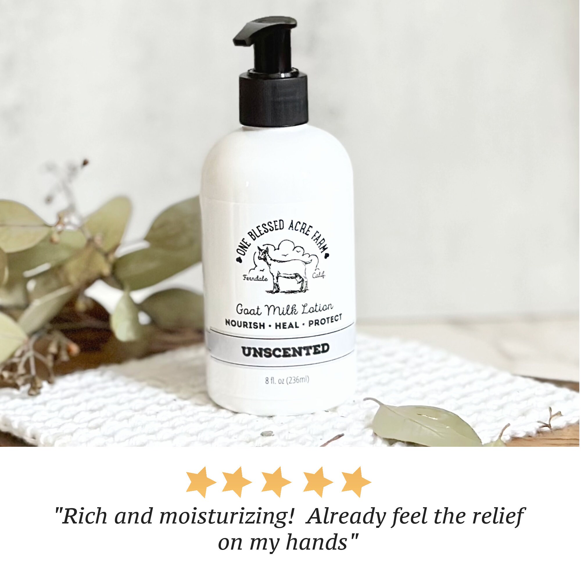 Bulk Body Lotion Gift Set for Holiday Bulk Hand Cream Multi Pack Goat ...