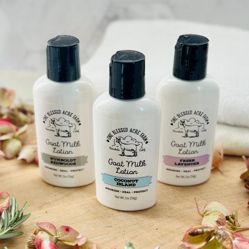 Bulk Hand Lotion Favors - Etsy