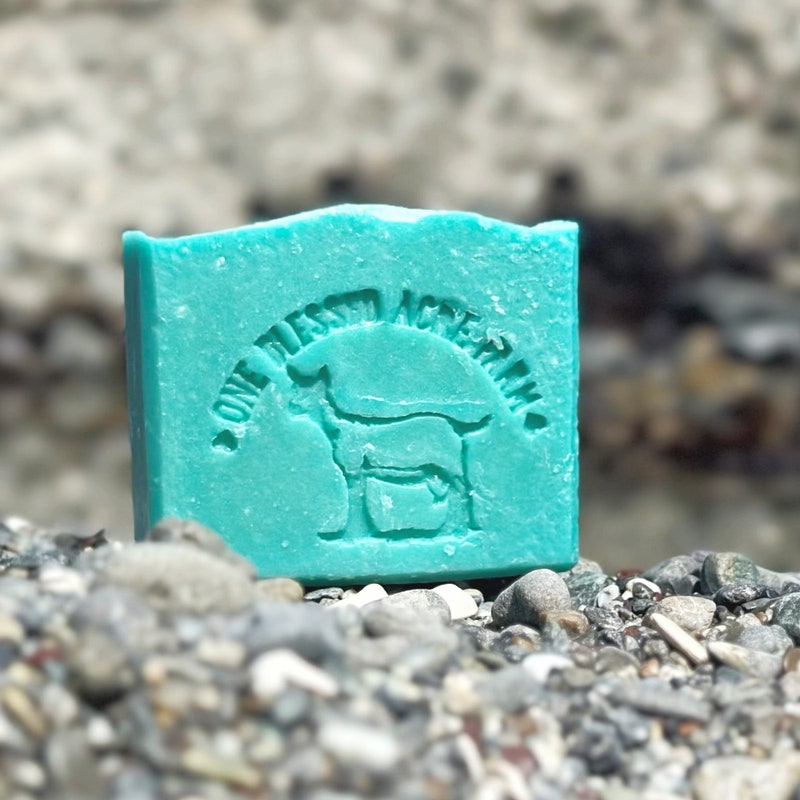 Blue Scented Hand Soap - Etsy