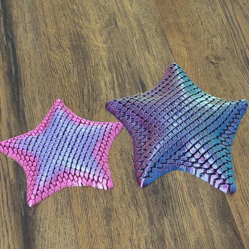 Starfish 3d Printed Fidget - Etsy