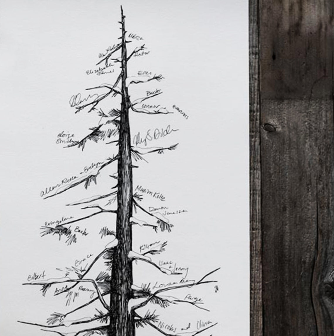 Customized Digital File Signature Pine Tree With Snow Winter - Etsy