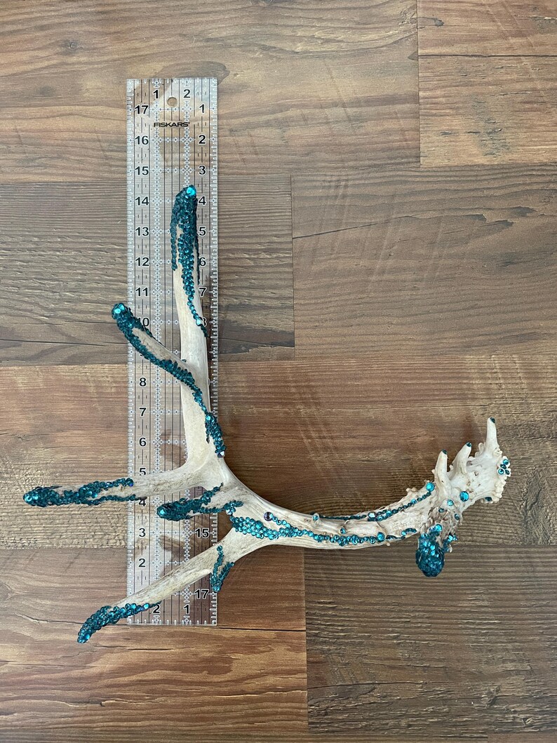 Crystal Deer Antler Shed - Etsy