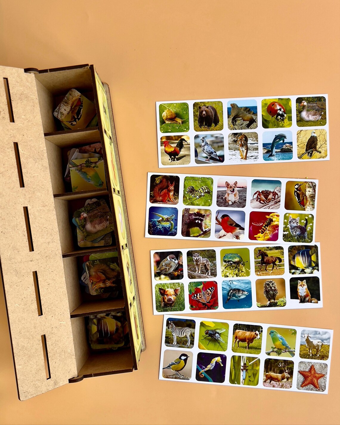 Montessori Animal Sorting Box – Wooden Classification Game With 40 ...