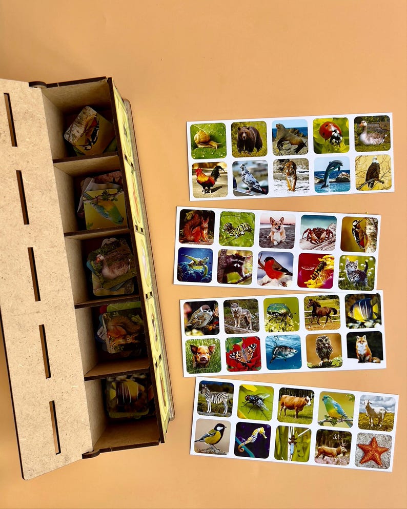 Montessori Animal Sorting Box – Wooden Classification Game With 40 ...