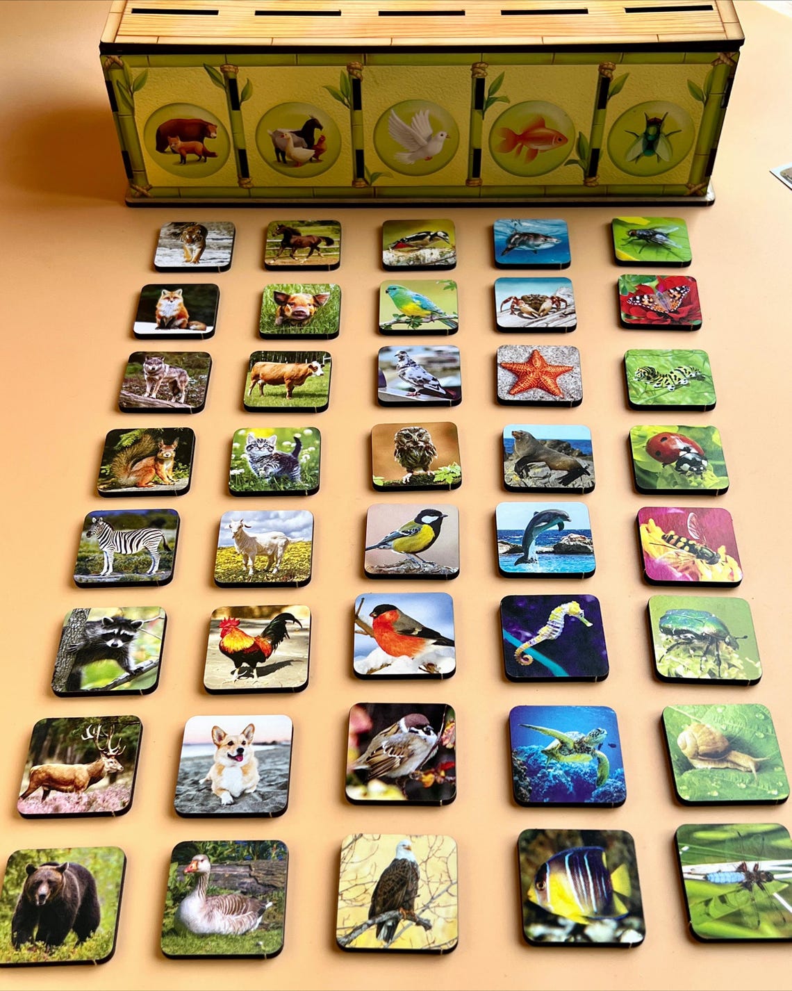 Montessori Animal Sorting Box – Wooden Classification Game With 40 ...