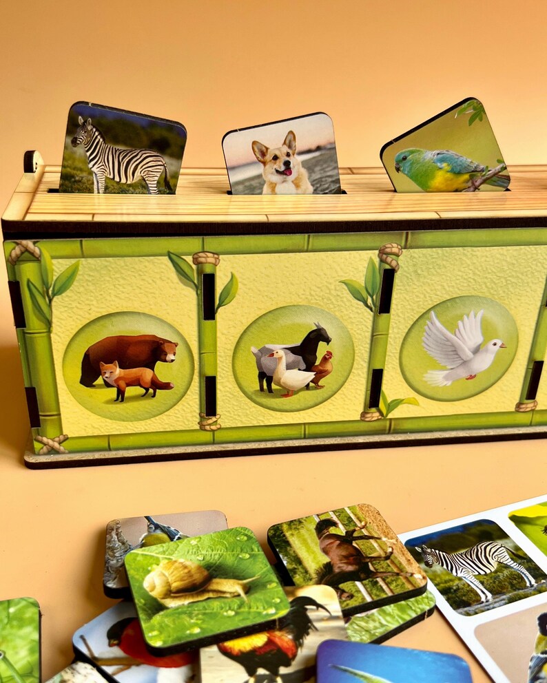 Montessori Animal Sorting Box – Wooden Classification Game With 40 ...